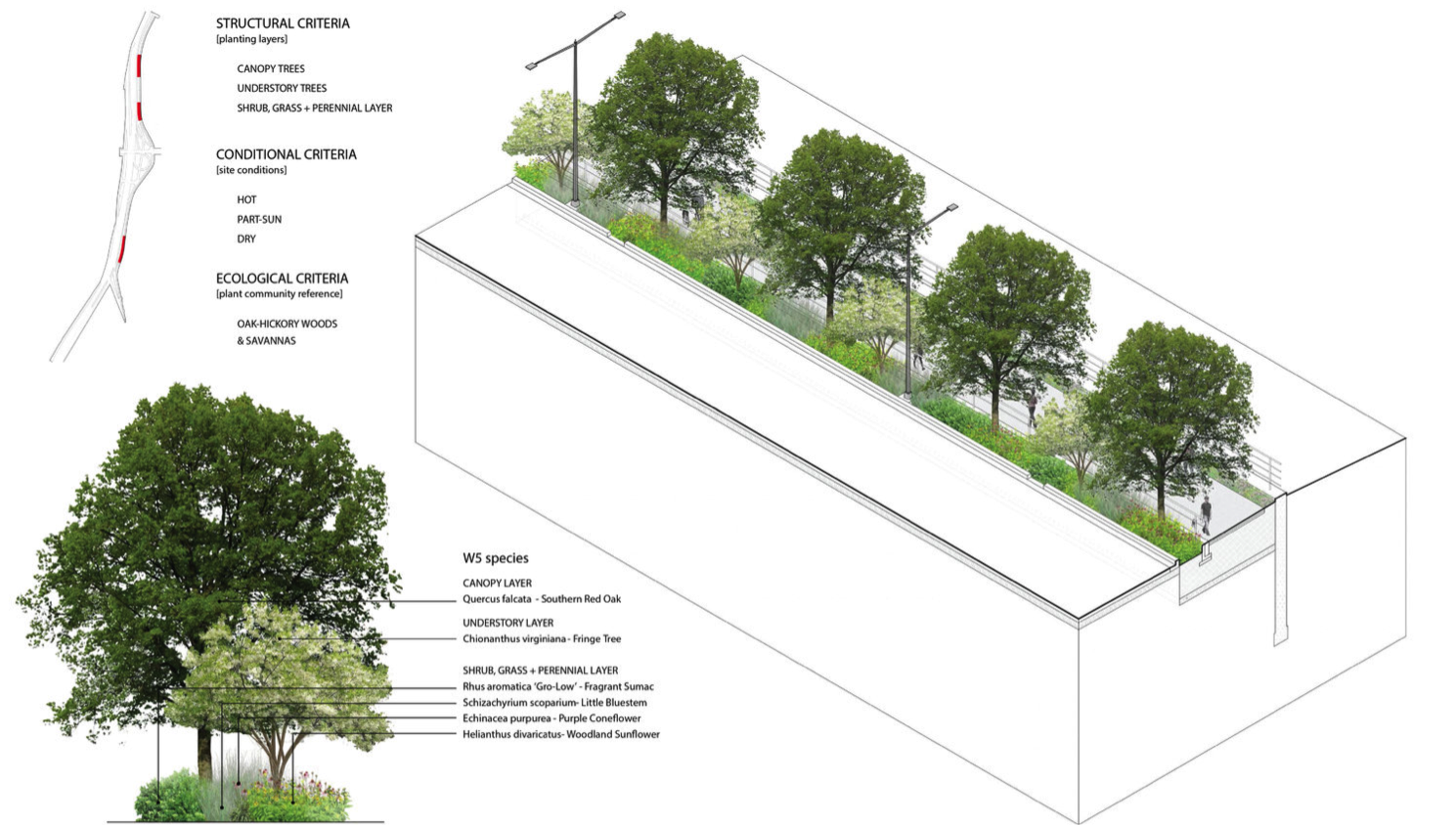 oak-canopy-food-forest-garden – 1000 Islands Master Gardeners
